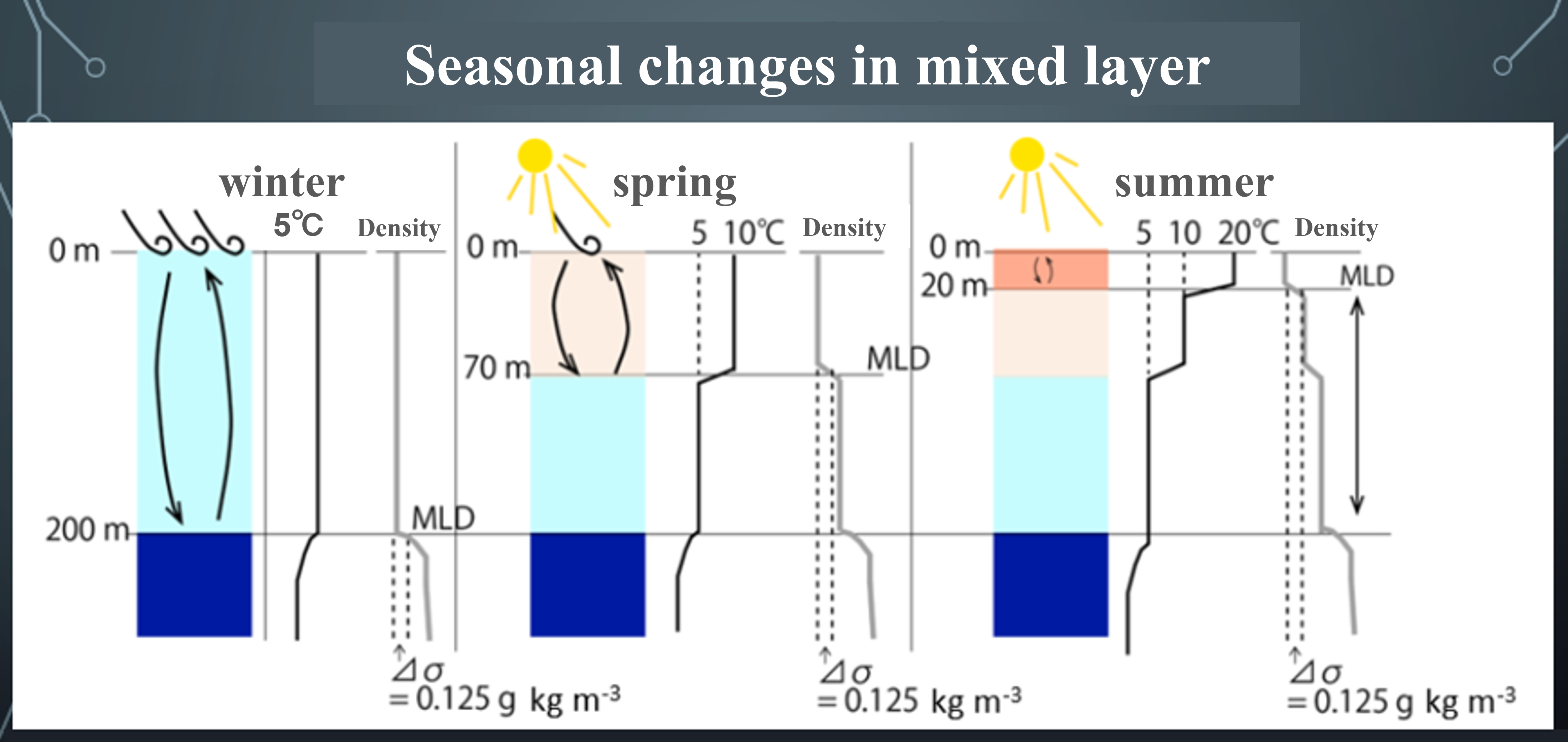 コース: Surface Mixed Layer | LASBOS Moodle