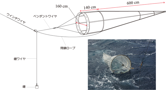 Plankton Net Diagram