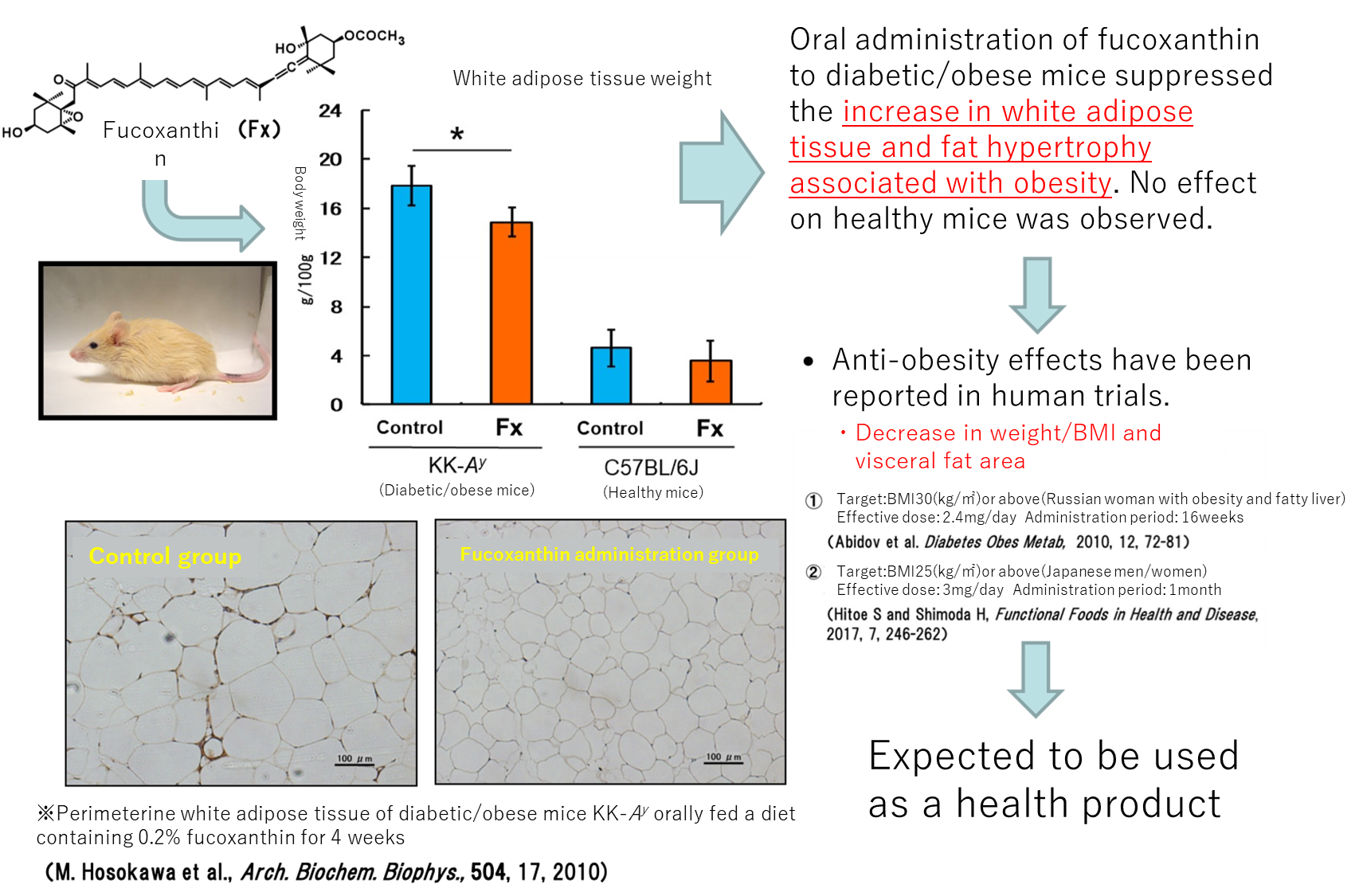 コース: Metabolic syndrome prevention function of brown algae ingredients ...