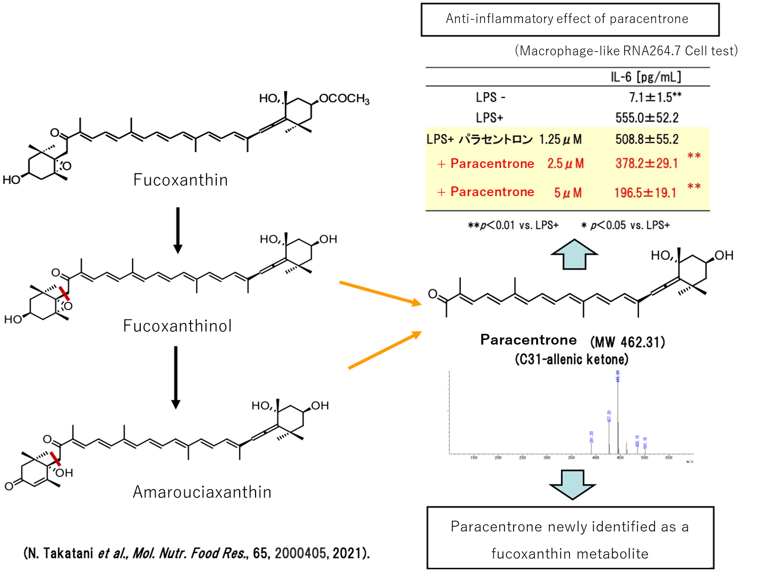 コース: Metabolic syndrome prevention function of brown algae ingredients ...