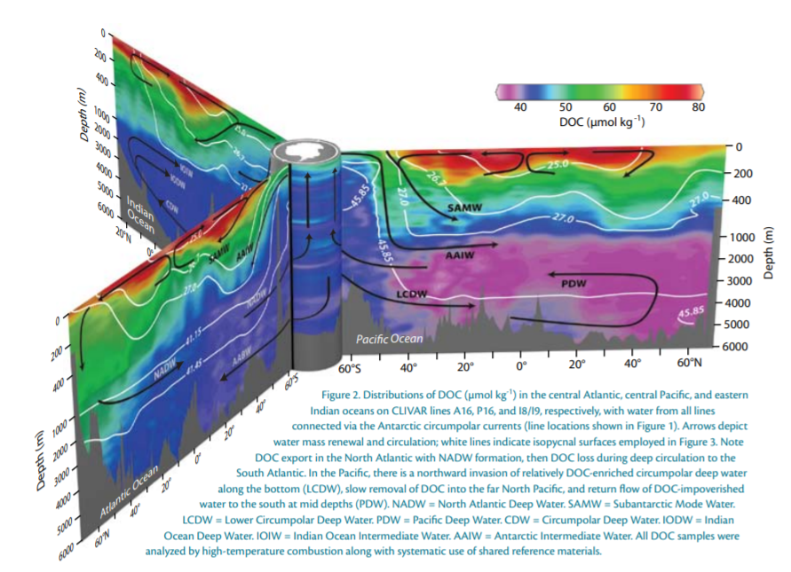 コース: Global Distribution of Dissolved Organic Carbon in the Ocean ...