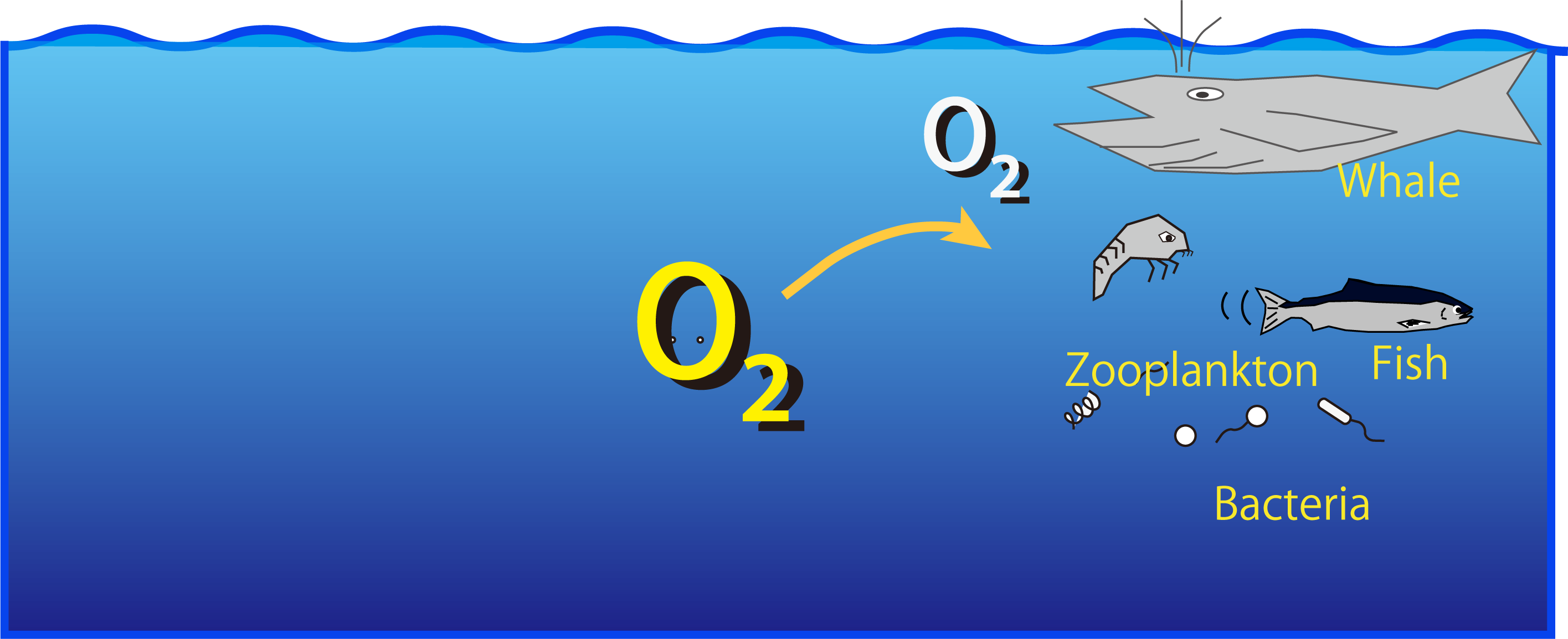 コース: Apparent Oxygen Utilization (AOU) Summary | LASBOS Moodle