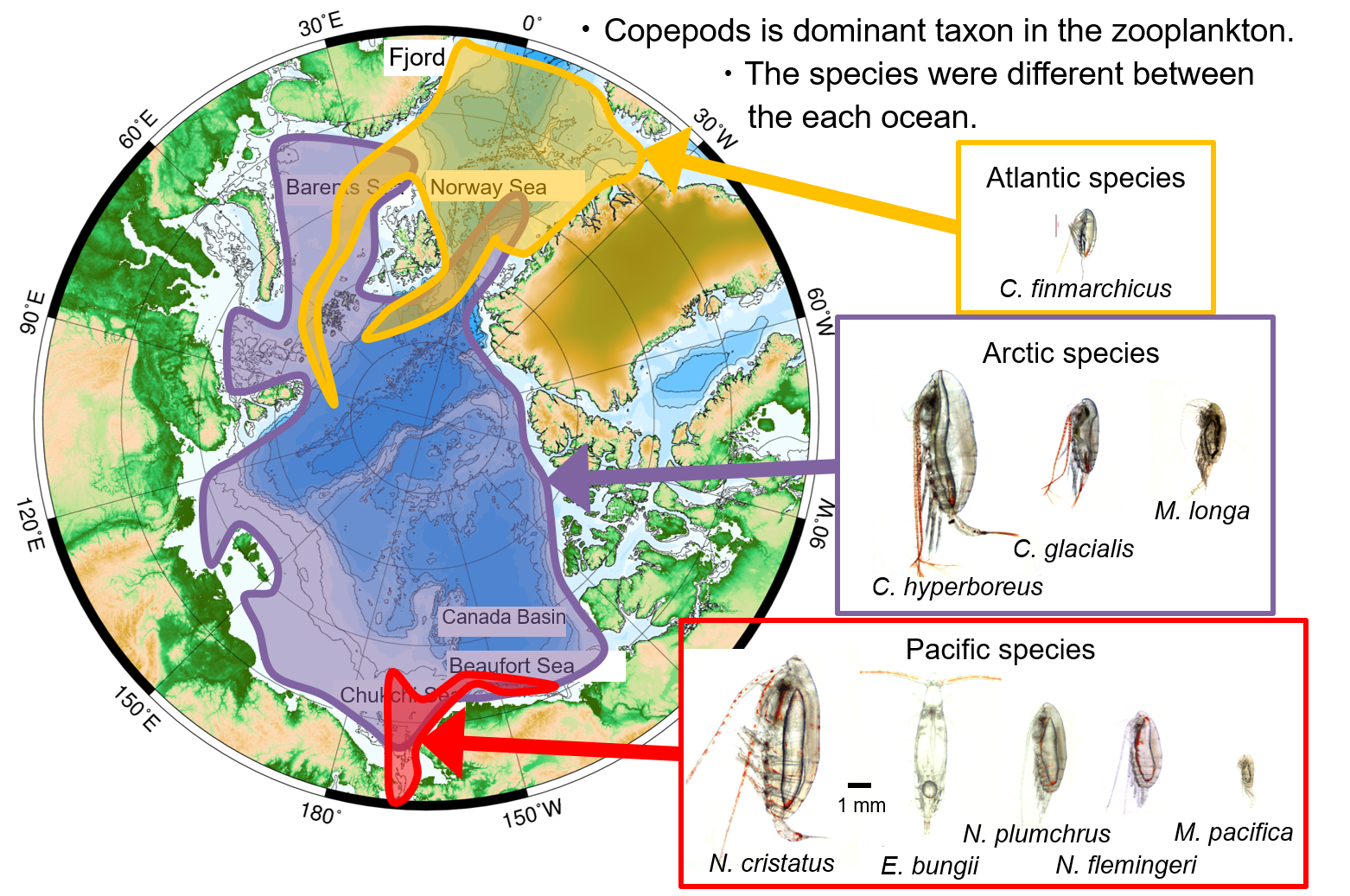 コース: Effect of sea-ice reduction on zooplankton in the Arctic Ocean ...