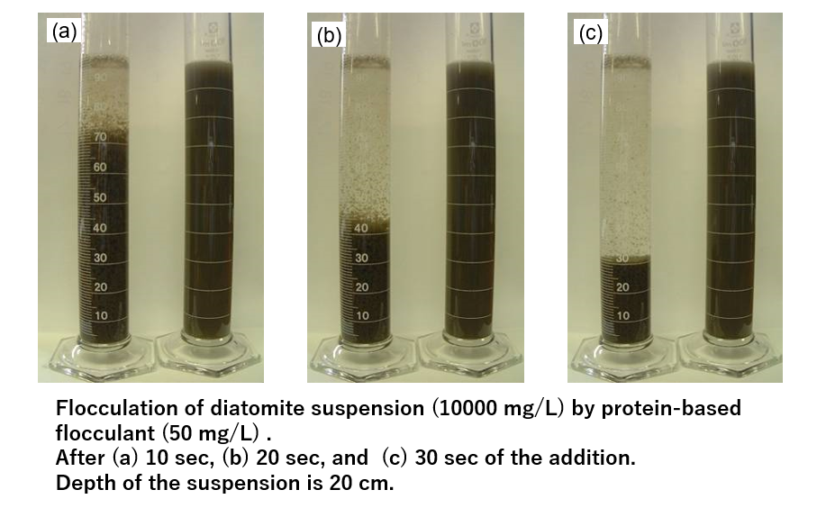 コース: Development of Protein-based Flocculant for Water Treatment of ...