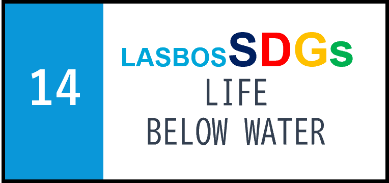 コース: Hydrodynamical effect of parallelly swimming fish using computational fluid dynamics method ...