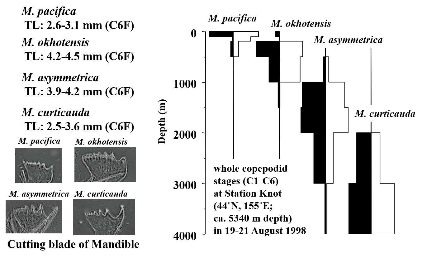 コース: Study on plankton down to the greater depths in the western North ...