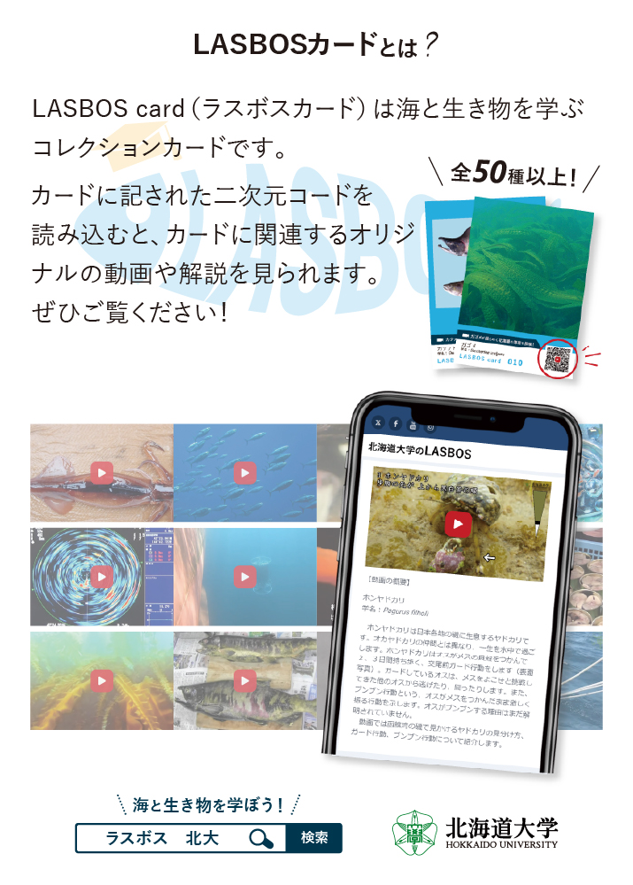 BOニュース: バランスドオーシャン（BO）ニュース vol.047 20240430 | LASBOS Moodle